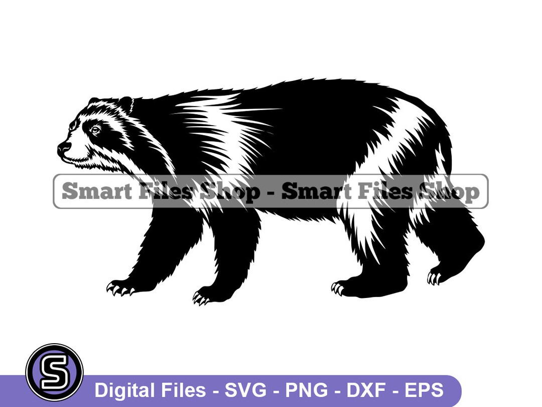 Spectacled Bear 2 SVG, Andean Bear SVG, Spectacled Bear Dxf, Spectacled ...