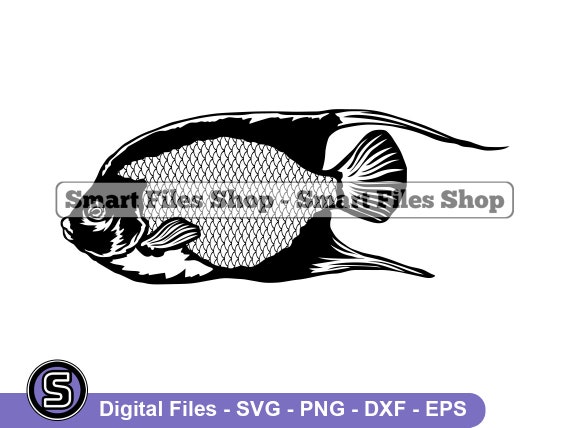 Tropical Fish Svg Aquarium Fish Svg Fish Svg Fish Cut Dxf | Etsy