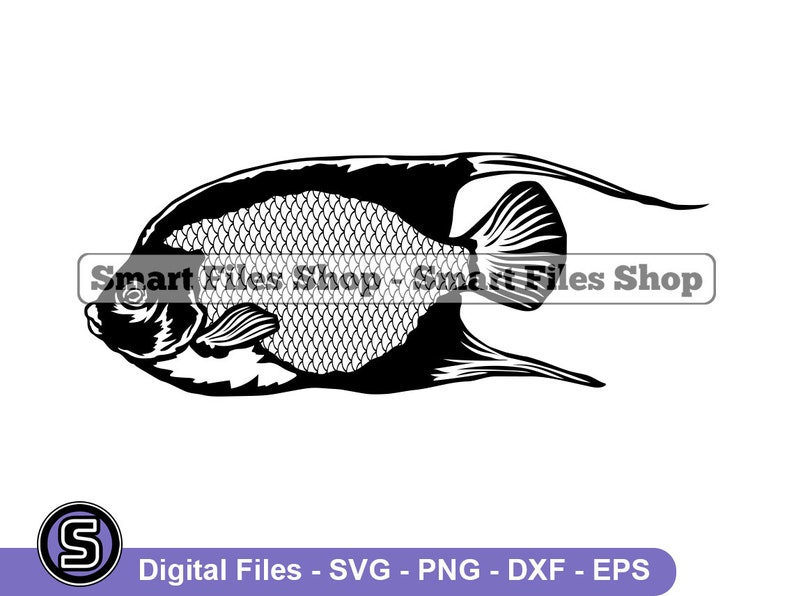 Tropical Fish Svg Aquarium Fish Svg Fish Svg Fish Cut Dxf - Etsy
