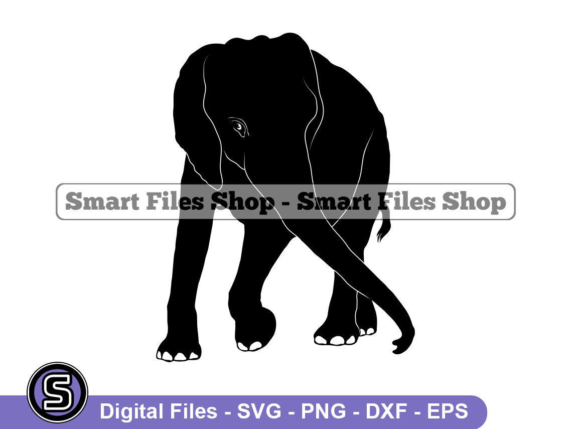 African Elephant Svg Elephant Svg Safari Animals Svg - Etsy