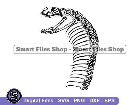 Cobra Skeleton SVG Cobra Svg Snake Svg Cobra Dxf Cobra | Etsy