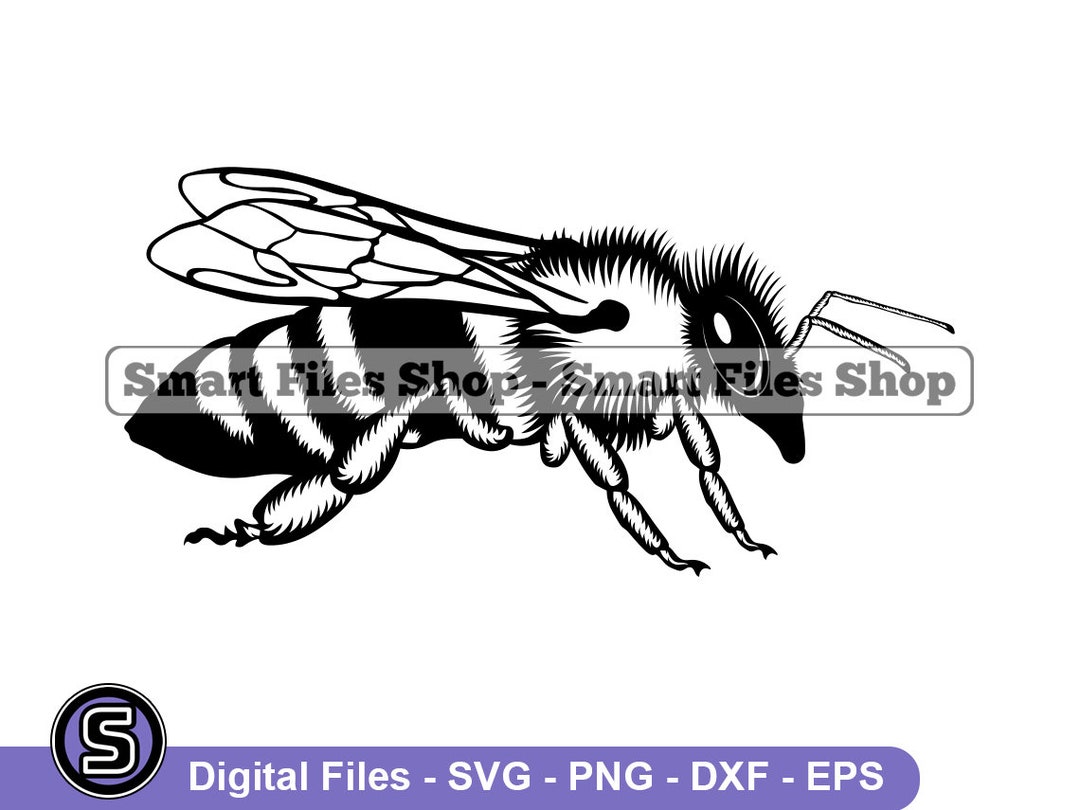Honey Bee Svg Bee SVG Queen Bee Svg Honey Bee Dxf Honey - Etsy España