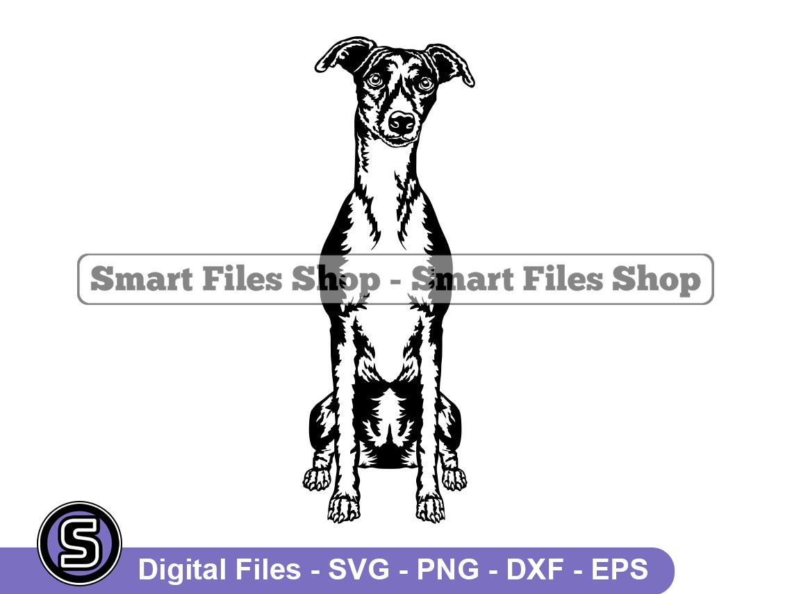 Sitting Whippet SVG, Whippet Svg, Dog Svg, Whippet Dxf, Whippet Png ...