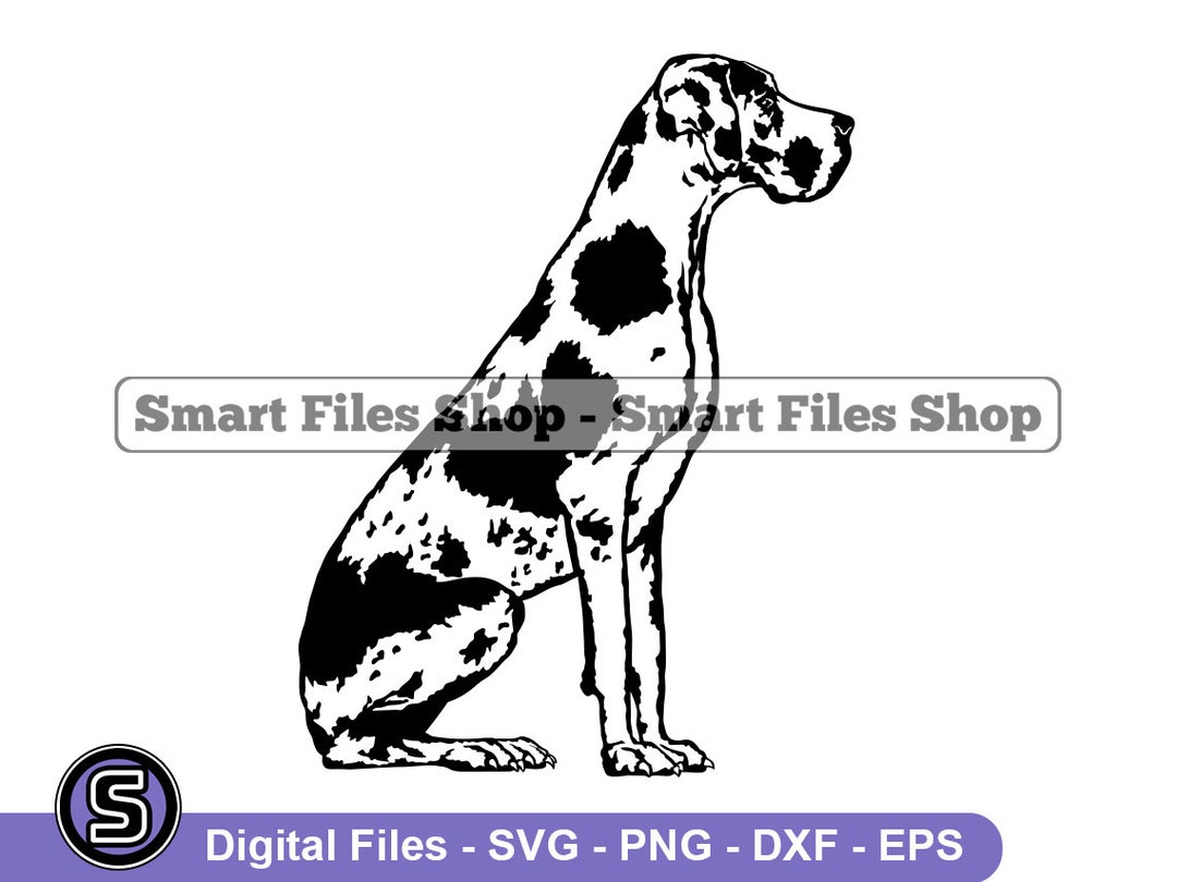 Sitting Great Dane SVG, Great Dane Svg, Dog Svg, Great Dane Dxf, Great ...