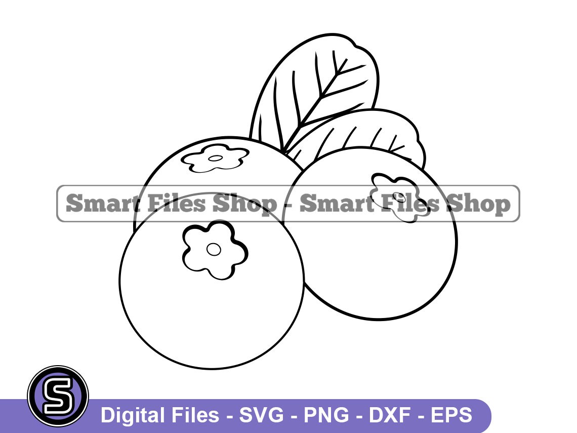 Blueberries Outline Svg Blueberry Svg Berry Svg Blueberries - Etsy ...