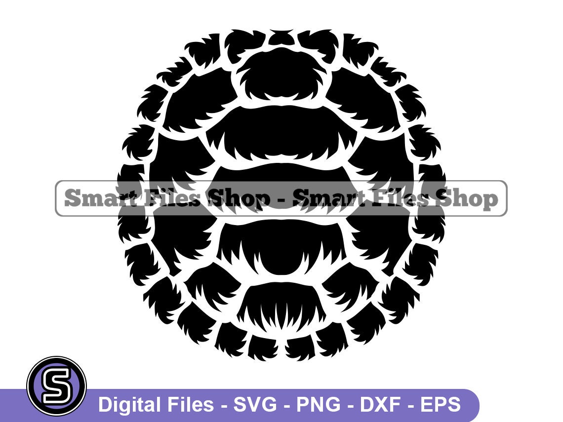 Turtle Shell Svg Turtle Svg Turtle Shell Dxf Turtle Shell | Etsy