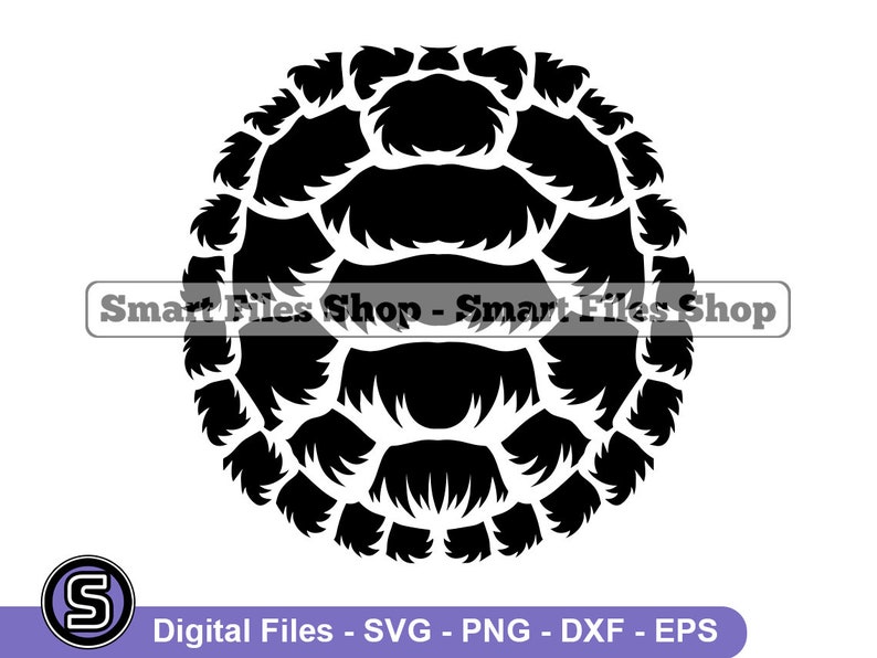 Turtle Shell Svg Turtle Svg Turtle Shell Dxf Turtle Shell | Etsy