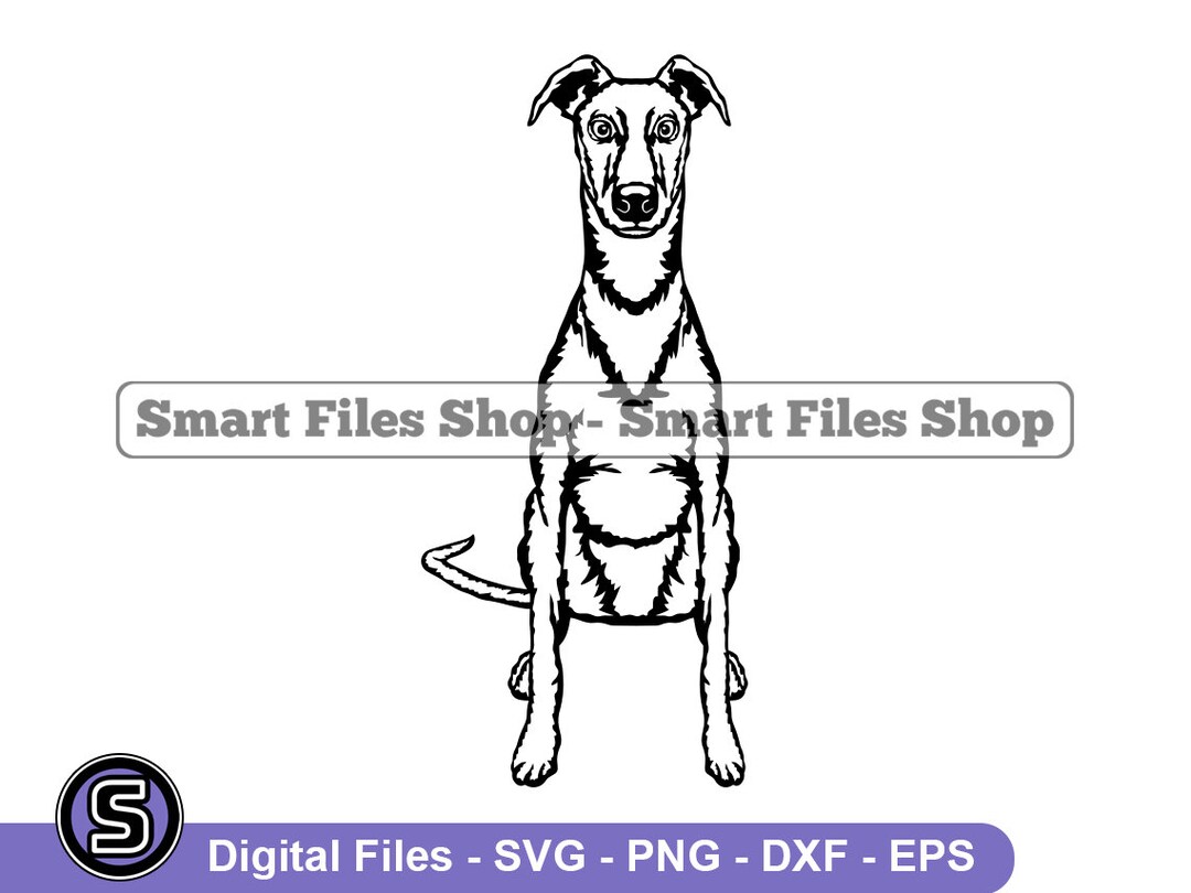 Sitting Lurcher SVG, Lurcher Svg, Dog Svg, Lurcher Dxf, Lurcher Png ...