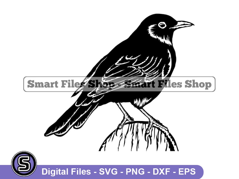 Blackbird Svg, Bird Svg, Blackbird Dxf, Blackbird Png, Blackbird ...