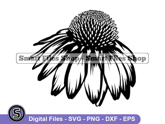 Flor de conoflor SVG Flor SVG Flor Svg Flor Dxf Flor Png - Etsy México