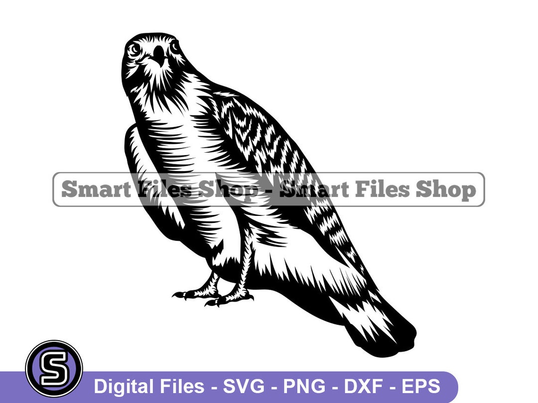 Hawk 4 Svg Hawk Svg Predator Bird Svg Hawk Dxf Hawk Png - Etsy Ireland