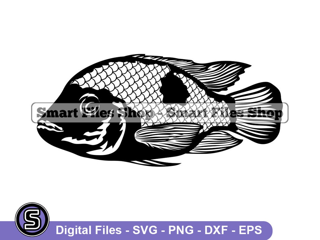 Peces de acuario 2 svg, peces svg, acuario Dxf, acuario Png, clipart de ...