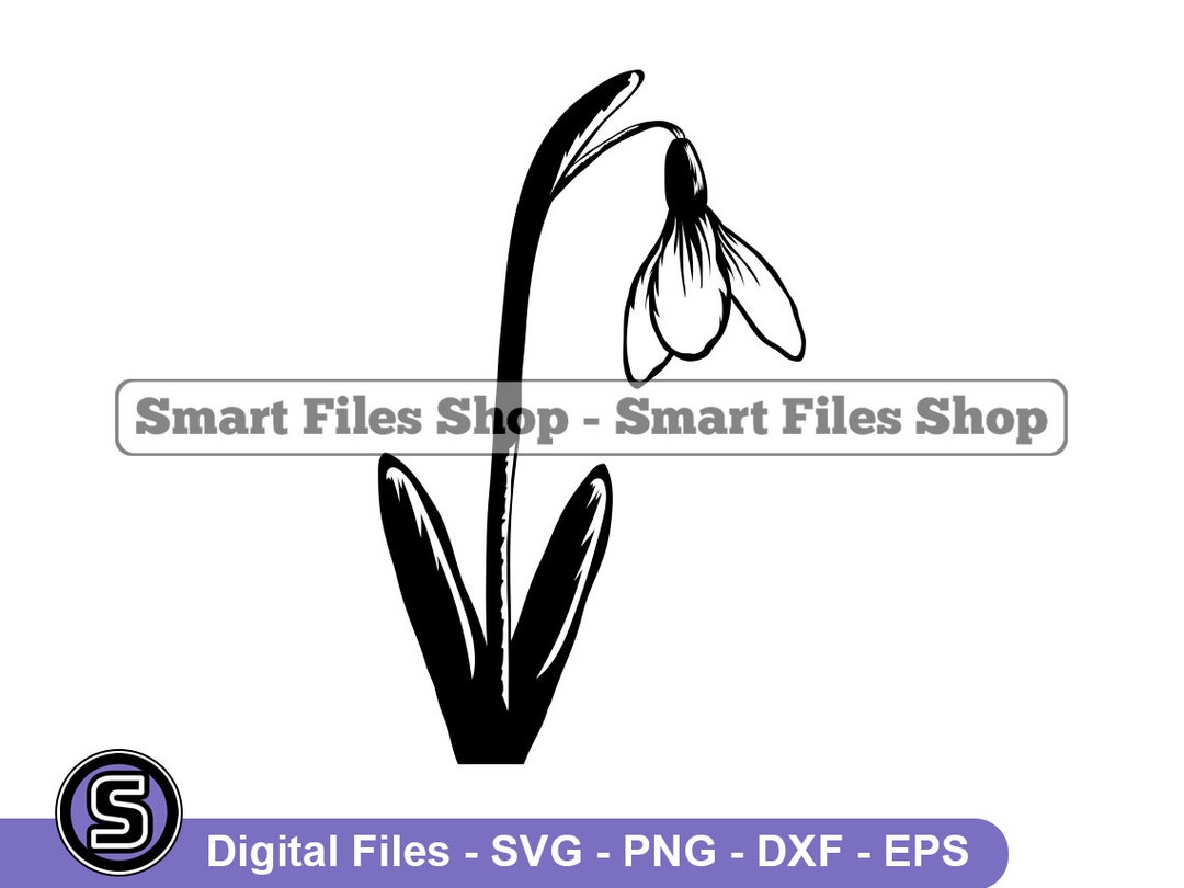 Snowdrop Flower SVG, Snowdrop SVG, Flower Svg, Flower Dxf, Flower Png ...