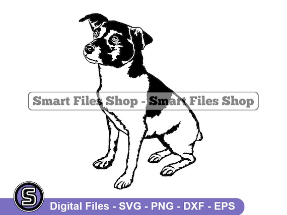 What Is The Name Of A Plummer Terrier