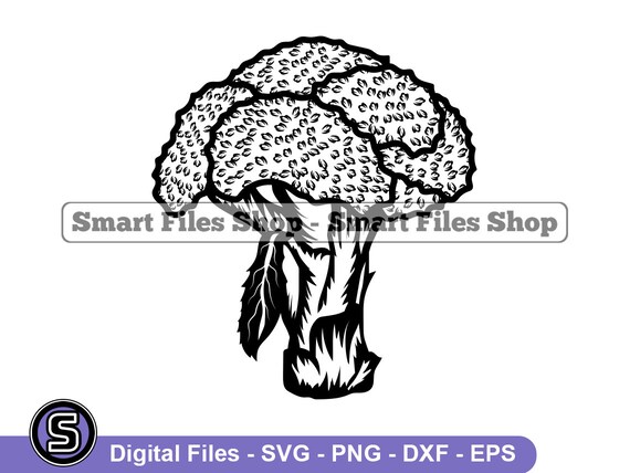 Brokkoli Svg Gemüse Svg Broccoli Dxf Broccoli Png Broccoli - Etsy Schweiz