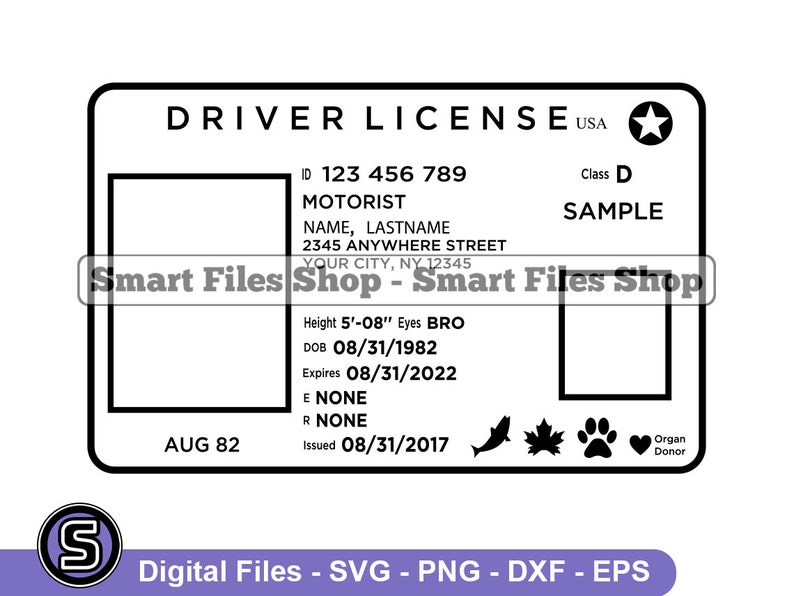 Drivers Licence Template Svg, Drivers Licence Svg, ID Svg ...