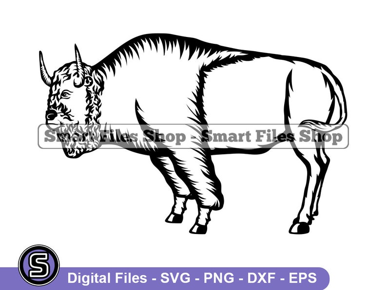 Bison SVG Buffalo Svg Bison Dxf Bison Png Bison Clipart - Etsy