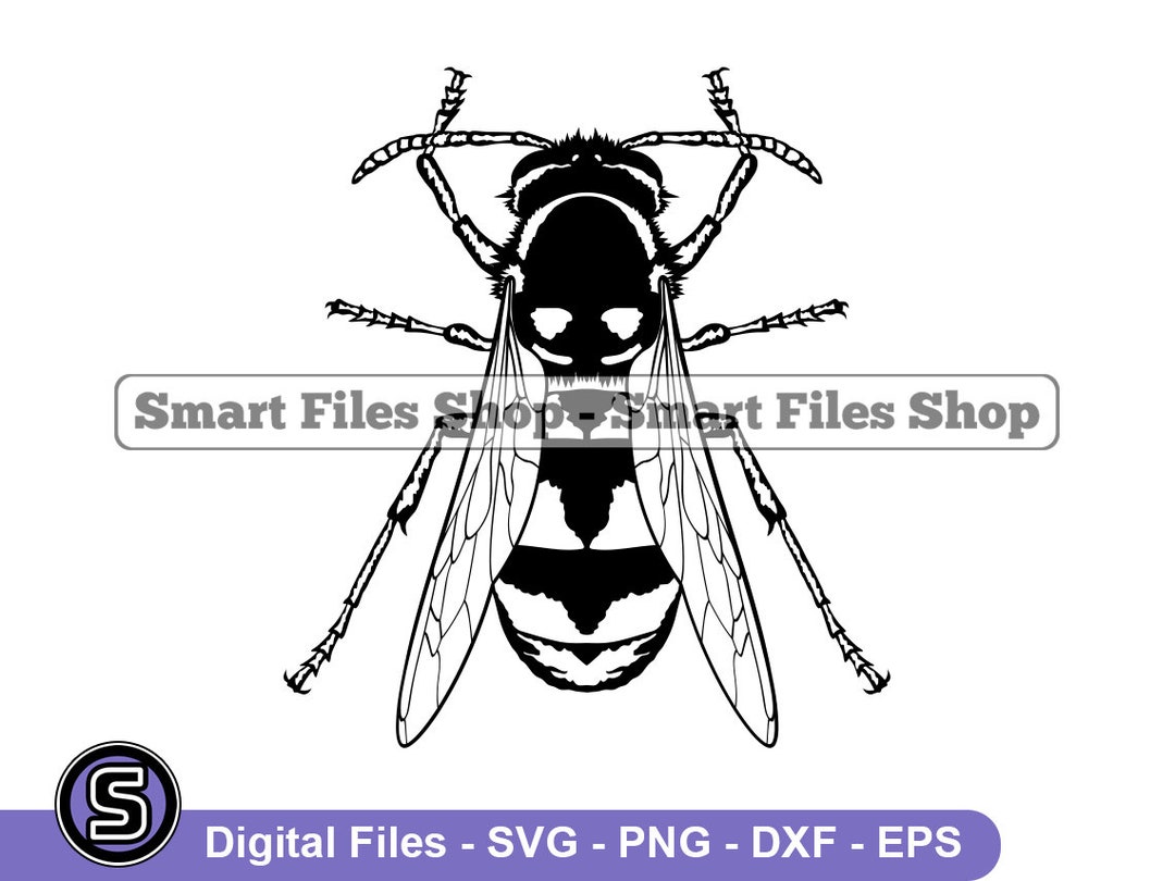 Yellow Jacket 4 Svg, Wasp Svg, Insect Svg, Wasp Dxf, Wasp Png, Wasp ...