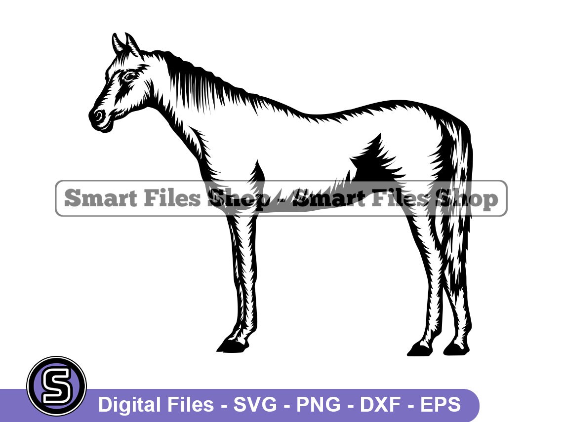 Arabian Horse Svg Horse Svg Racing Horse Svg Horse Dxf | Etsy