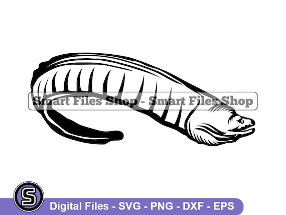 Moray Eel Clipart