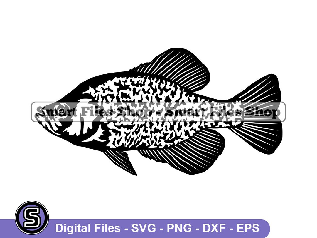 Black Crappie Svg, Fish Svg, Fishing Svg, Fishing Dxf, Fishing Png ...