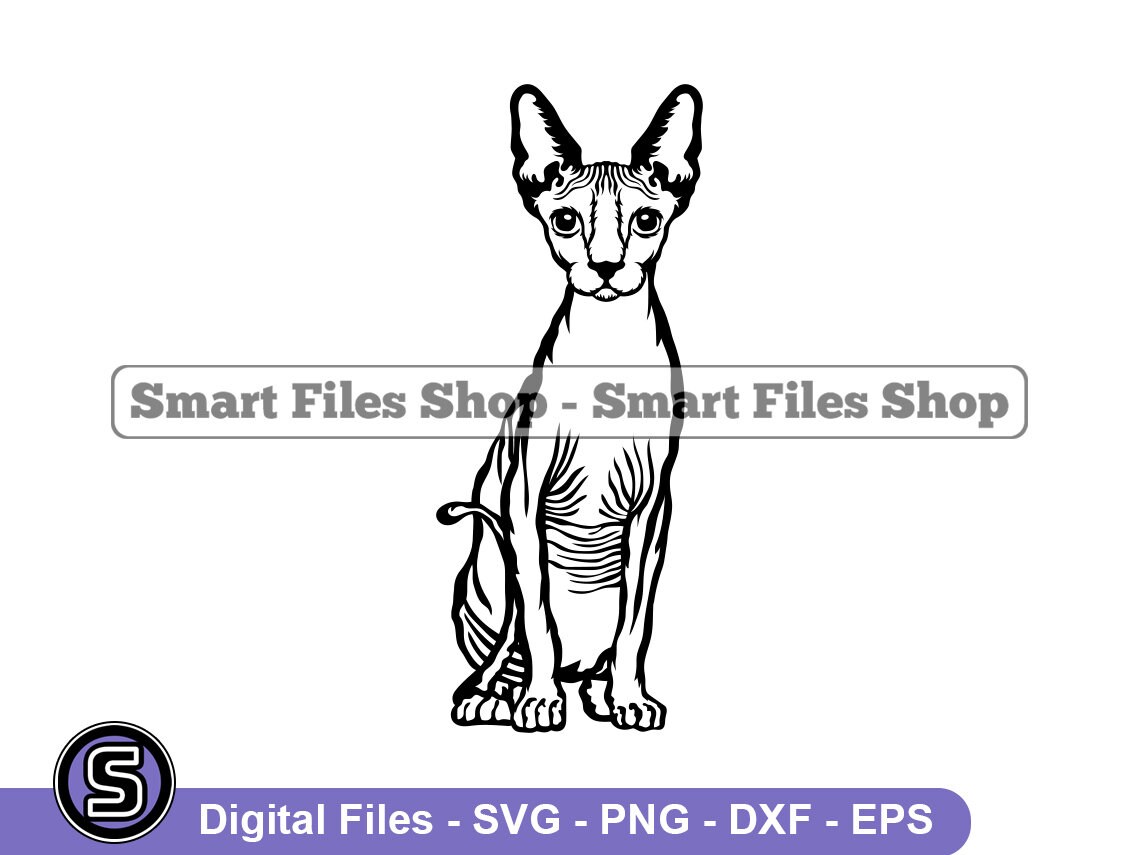 Sphynx Cat 2 SVG Sphynx Cat Svg Cat Svg Pet Svg Sphynx | Etsy