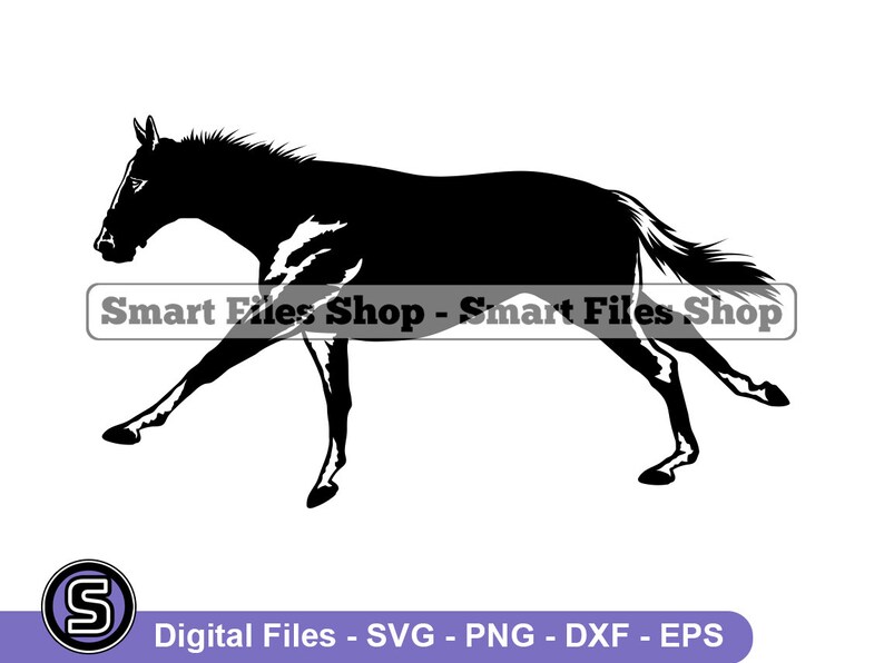 Running Horse Svg Race Horse Svg Horse Racing Svg Horse - Etsy