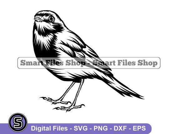 Robin Svg Bird Svg Robin Dxf Robin Png Robin Clipart | Etsy