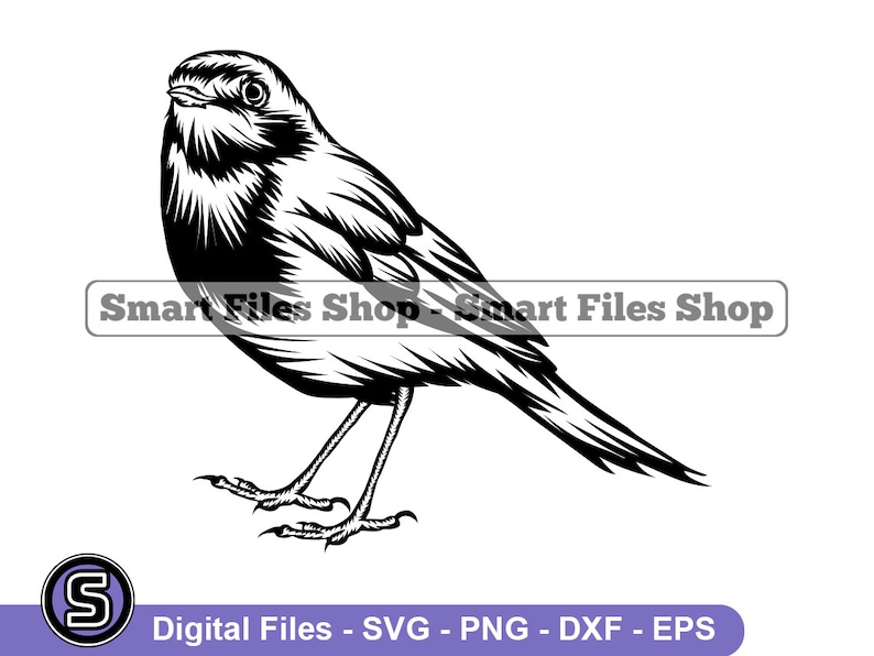 Robin Svg Bird Svg Robin Dxf Robin Png Robin Clipart - Etsy