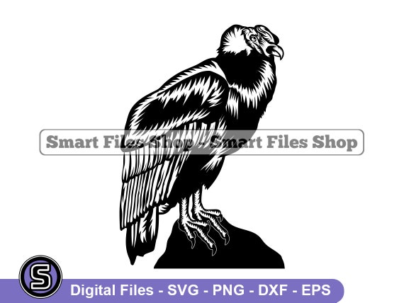 Condor 2 Svg Condor Svg Predator Bird Svg Condor Dxf - Etsy