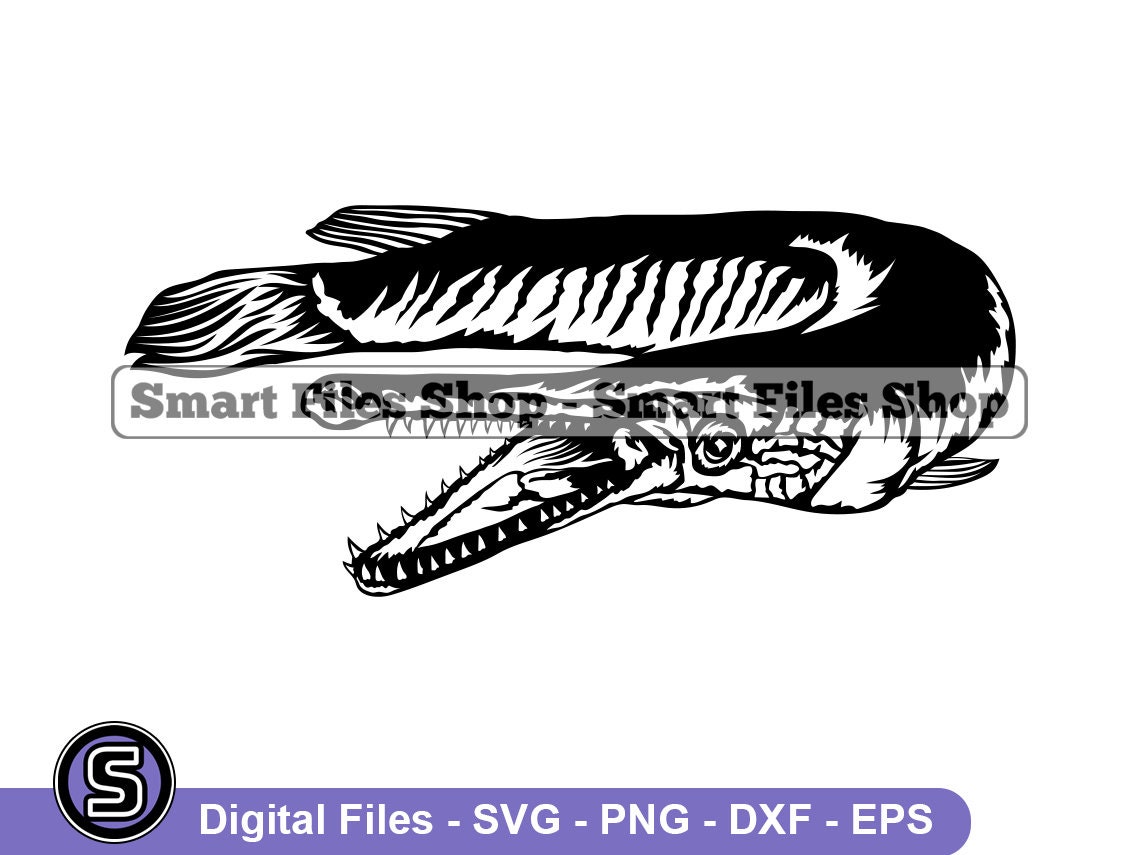 Florida Gar Svg, Fish Svg, Fishing Svg, Fishing Dxf, Fishing Png ...
