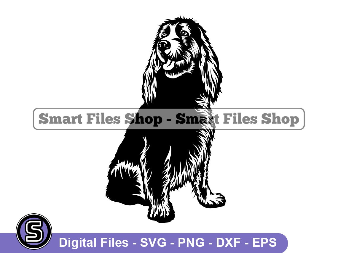Sitting Boykin Spaniel SVG Boykin Spaniel Svg Dog Svg - Etsy