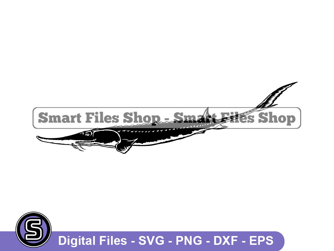 Pallid Sturgeon Svg Fish Svg Fishing Svg Fishing Dxf - Etsy