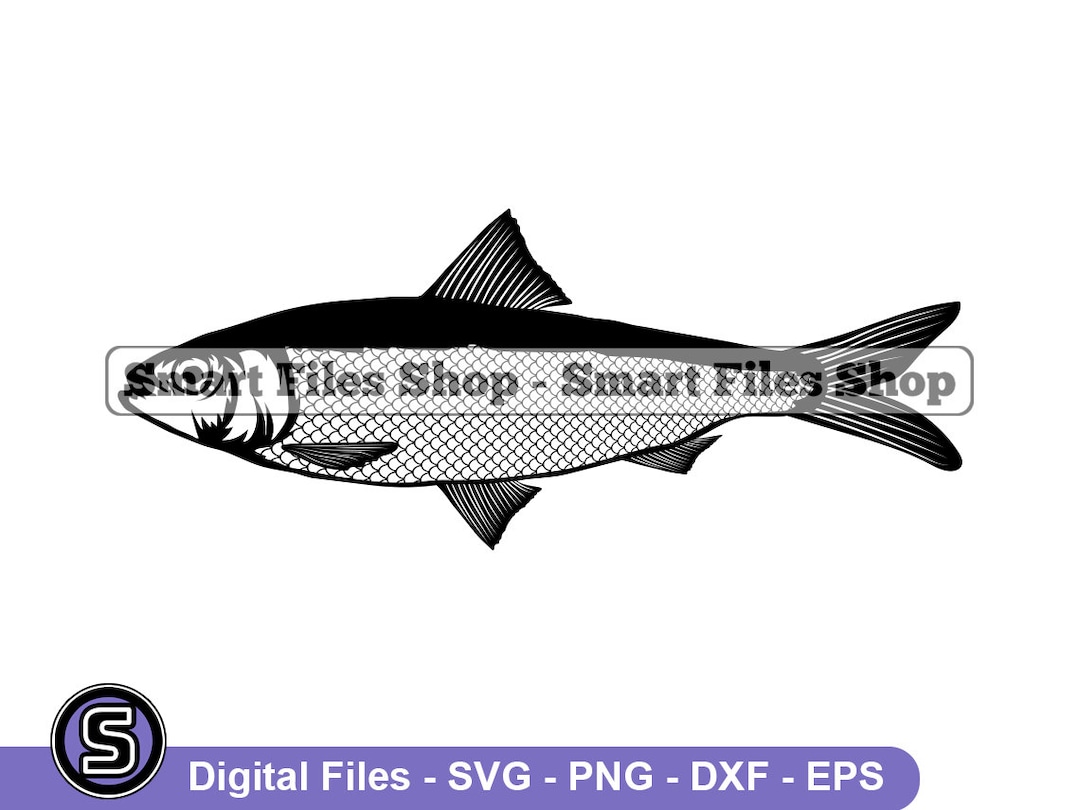 Alabama Shad Svg, Fish Svg, Fishing Svg, Fishing Dxf, Fishing Png ...