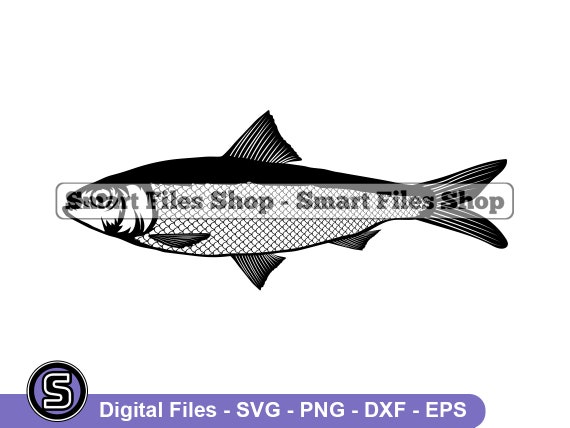 Alabama Shad Svg Fish Svg Fishing Svg Fishing Dxf Fishing | Etsy