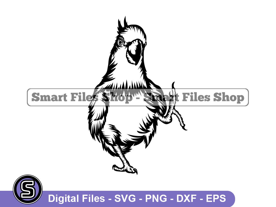 Cockatoo Svg Bird Svg Parrot Svg Cockatoo Dxf Cockatoo - Etsy Australia