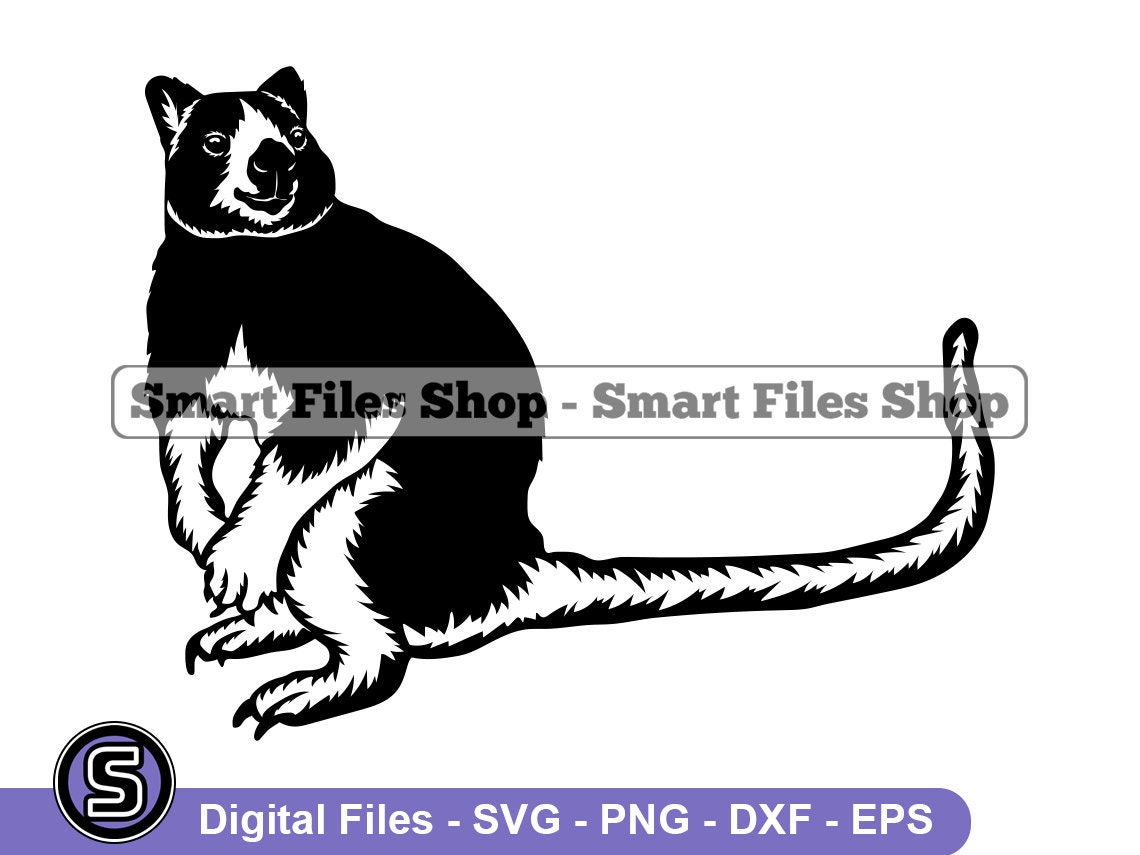 Matschies Tree Kangaroo SVG Kangaroo SVG Animals Svg | Etsy