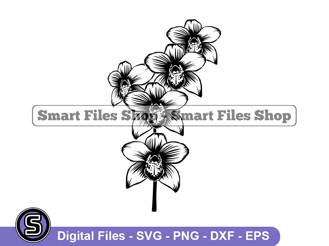 Orchidées Fleur SVG, Orchidées SVG, Fleur Svg, Fleur Dxf, Fleur Png ...
