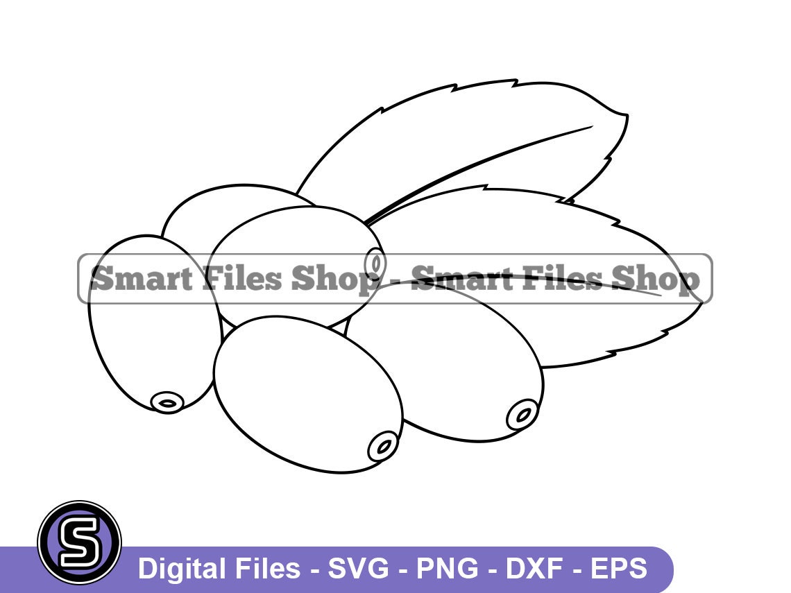 Barberry Outline Svg Barberry Svg Fruits Svg Berry Svg - Etsy Australia