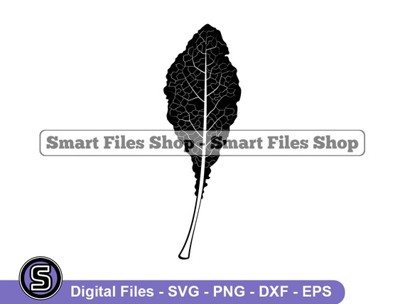 Kale Svg Vegetables Svg Diet Svg Kale Dxf Kale Png Kale | Etsy