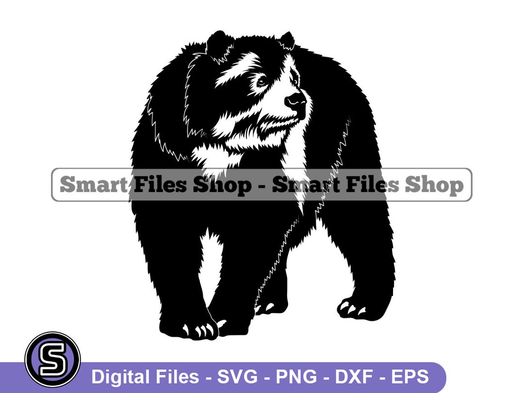 Spectacled Bear SVG, Andean Bear SVG, Spectacled Bear Dxf, Spectacled ...