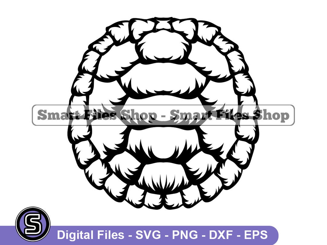 Turtle Shell #2 Svg, Turtle Svg, Turtle Shell Dxf, Turtle Shell Png ...