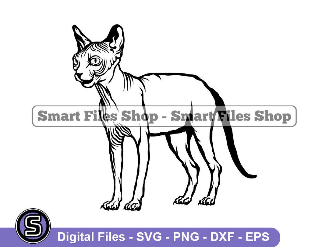 Sphynx Cat Svg, Cat Svg, Pet Svg, Sphynx Cat Cut Files, Sphynx Dxf, Cat ...