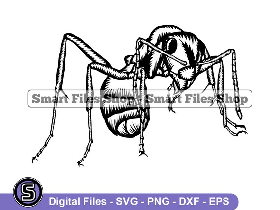 Ant Svg Insect Svg Ant Dxf Ant Png Ant Clipart Ant Files | Etsy