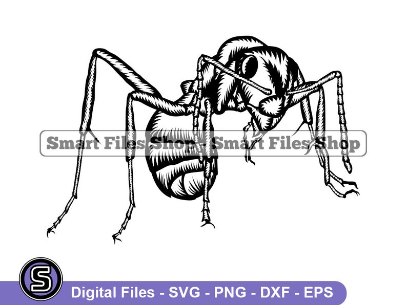 Ant Svg Insect Svg Ant Dxf Ant Png Ant Clipart Ant Files - Etsy