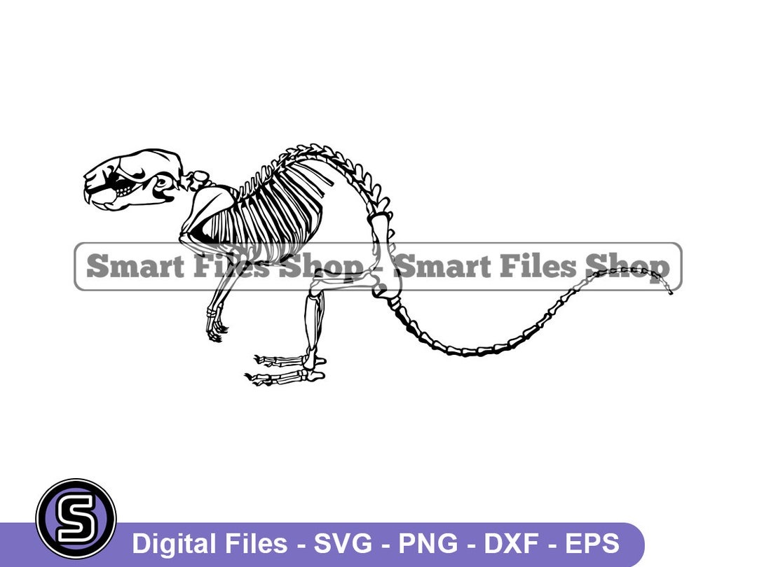 Rat Skeleton Svg, Rat Svg, Rodent Svg, Exterminator Svg, Rat Design Svg ...