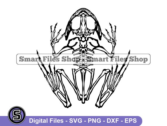 Frog Skeleton Clipart