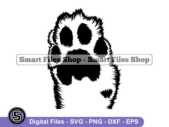 Lion Paw Bottom SVG Lion Svg Paw Svg Safari Creatures Svg - Etsy