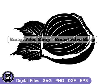 Hazelnut Svg - Etsy