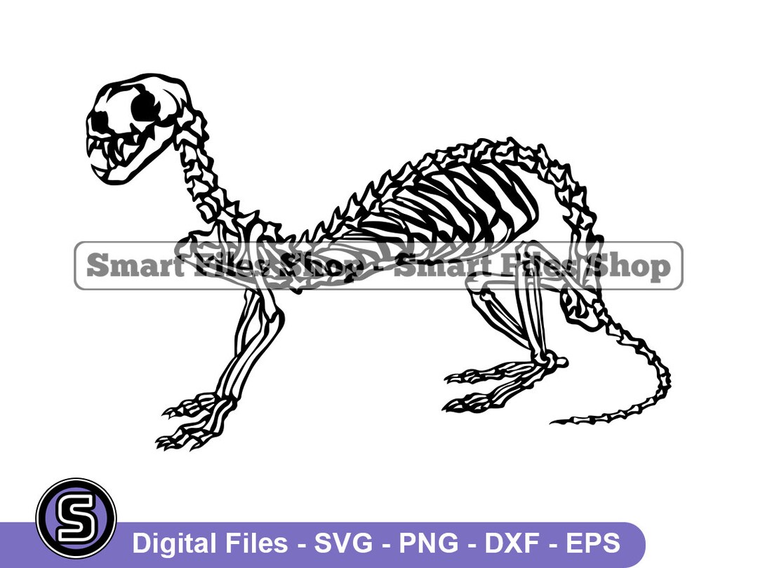 Ferret Skeleton #2 Svg, Ferret Svg, Forest Animals Svg, Ferret Dxf ...